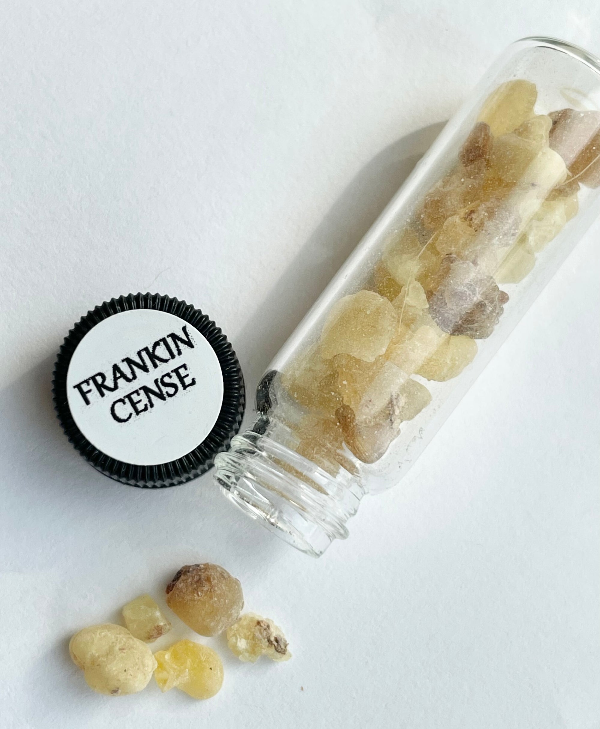 Welcome to FrozenSeeds! Check Out Our Frozen Seed Bank! – Frozen Seed ...