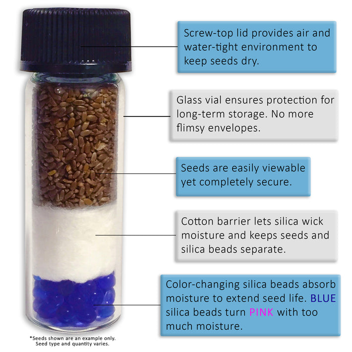 Welcome to FrozenSeeds! Check Out Our Frozen Seed Bank! – Frozen Seed ...