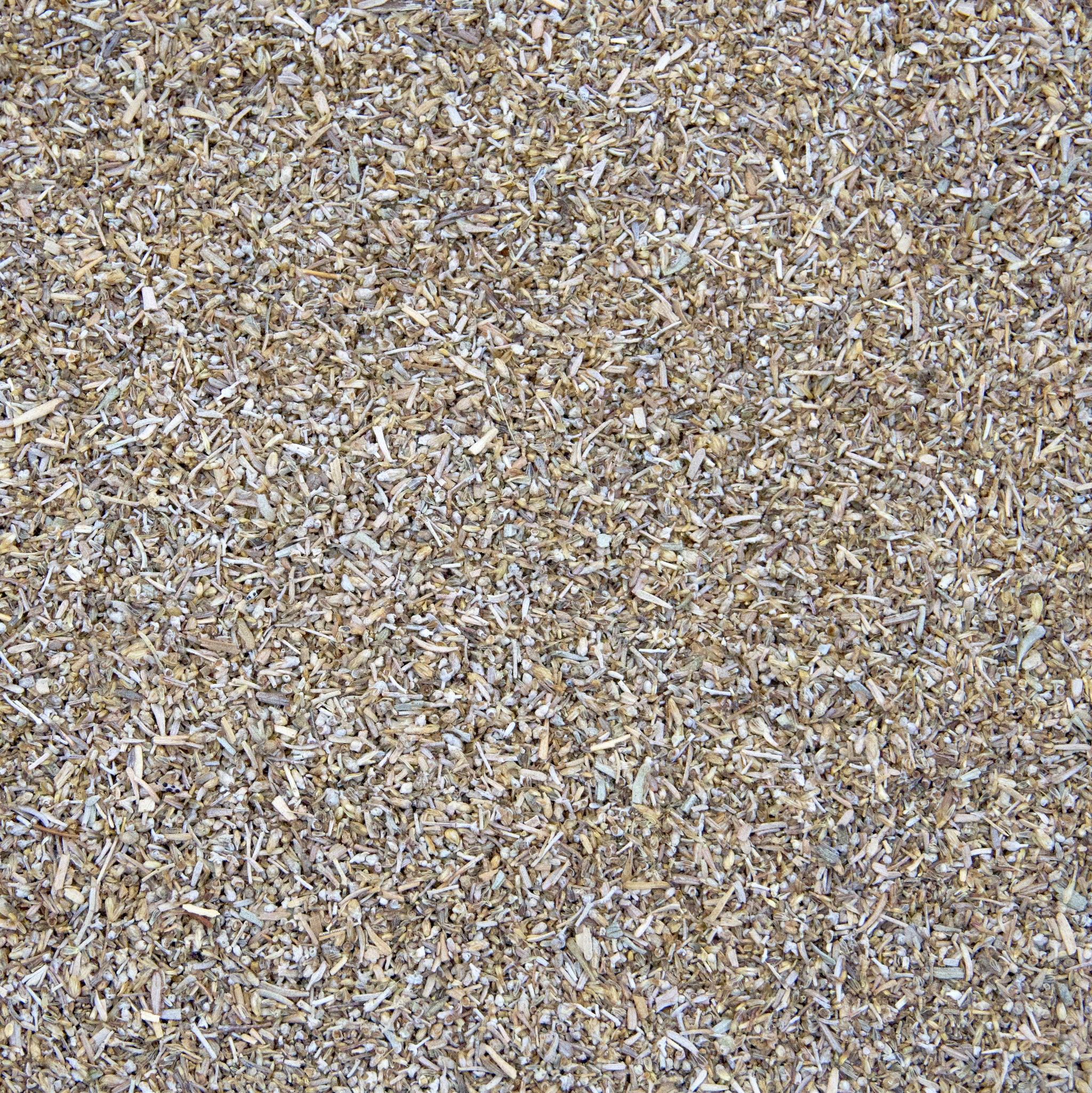 Big Sagebrush Seeds (Artemisia tridentata) – Frozen Seed Capsules™