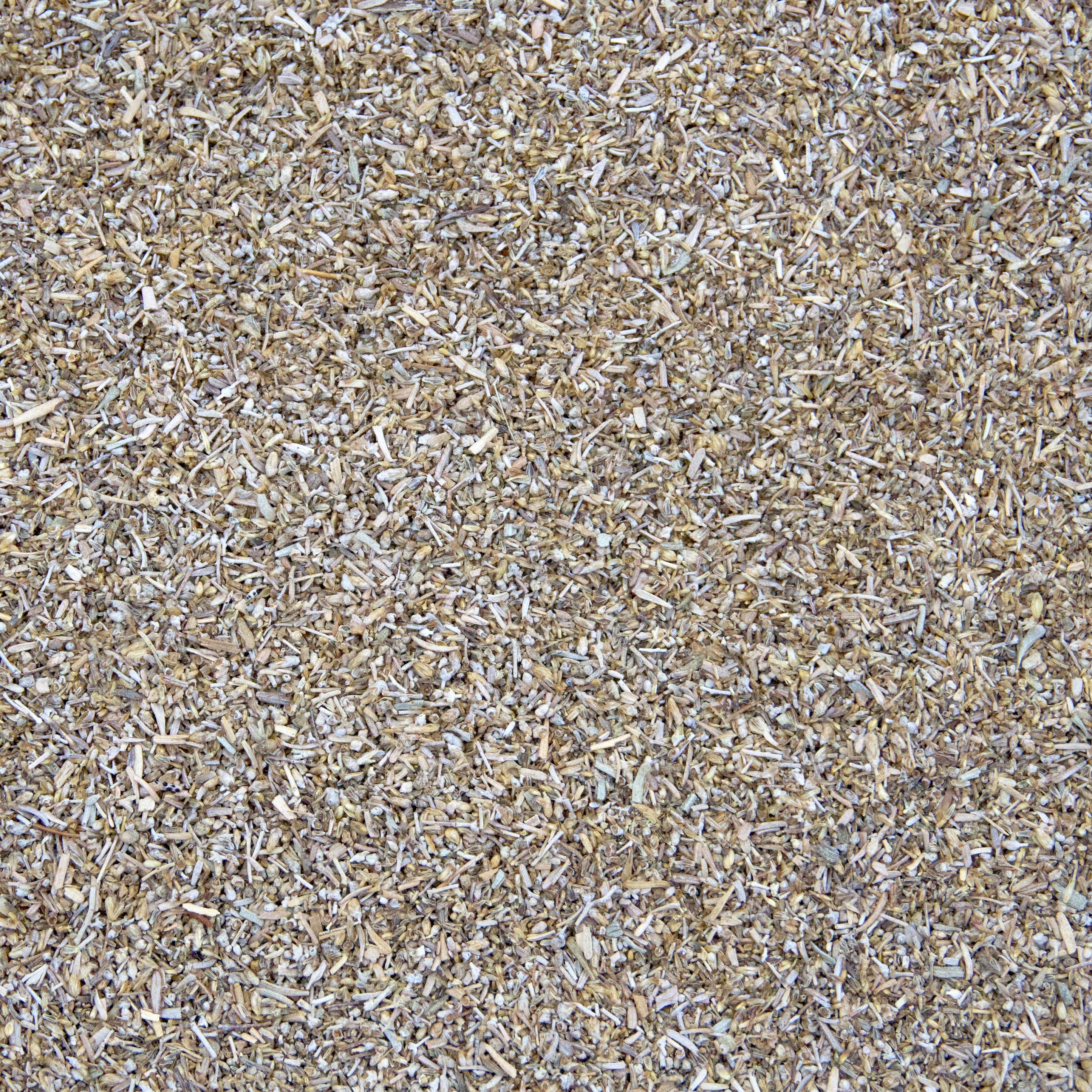 Big Sagebrush Seeds (Artemisia tridentata) – Frozen Seed Capsules™