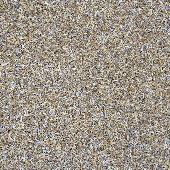 Big Sagebrush Seeds (Artemisia tridentata) – Frozen Seed Capsules™