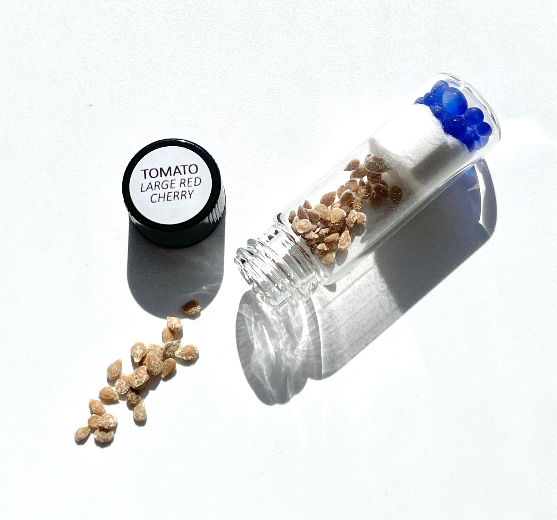 Welcome to FrozenSeeds! Check Out Our Frozen Seed Bank! – Frozen Seed ...