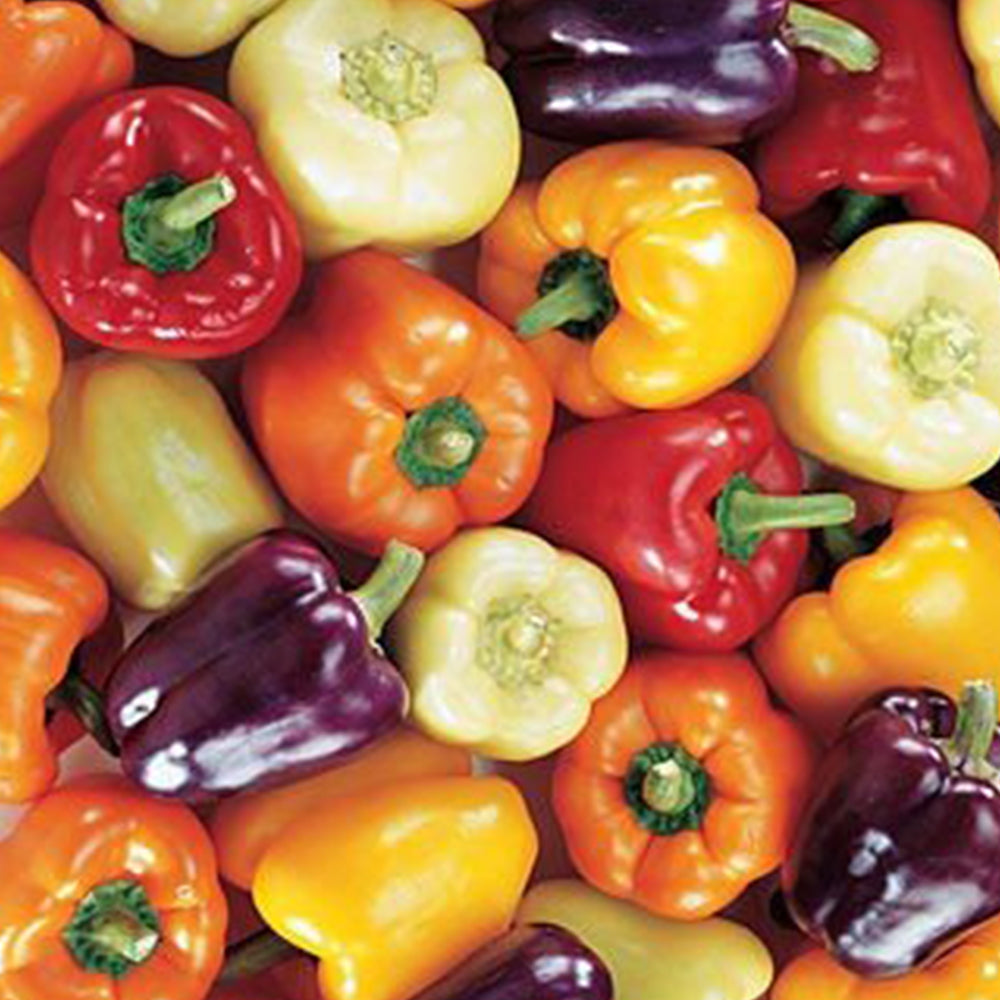 Mini Bell Pepper Seeds – Frozen Seed Capsules™