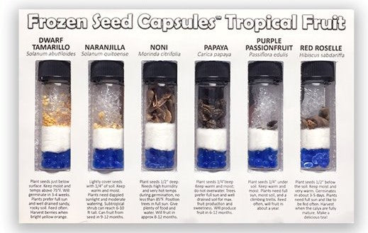 Frozen Seed Capsules 12 Rare Tropical Variety Pack – Frozen Seed Capsules™