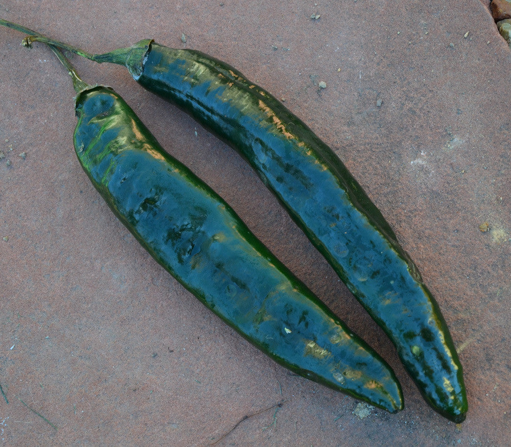 Chilaca Pepper Seeds – Frozen Seed Capsules™