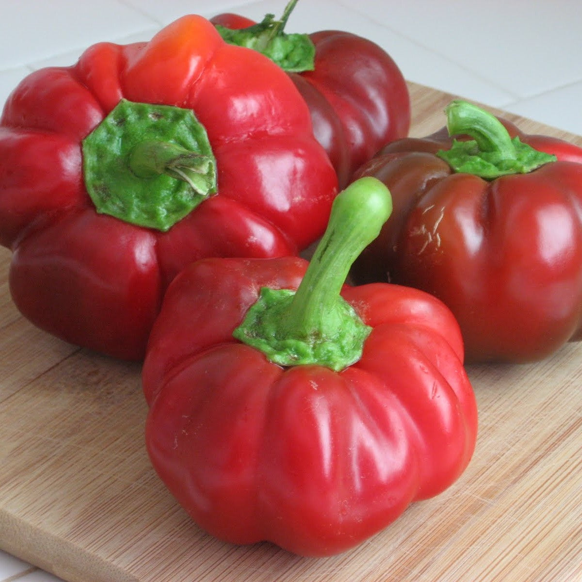 Sheepnose Pimento Pepper Seeds – Frozen Seed Capsules™