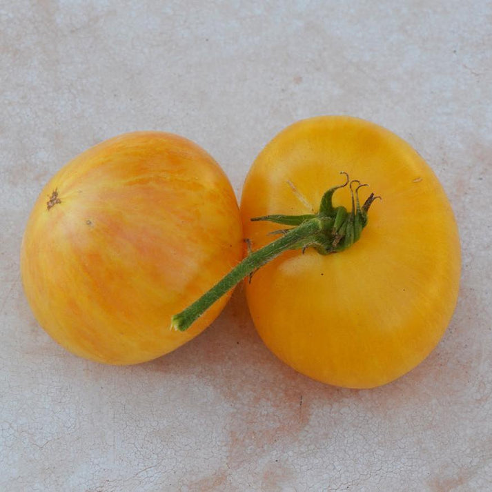 Pineapple Pig Tomato Seeds – Frozen Seed Capsules™